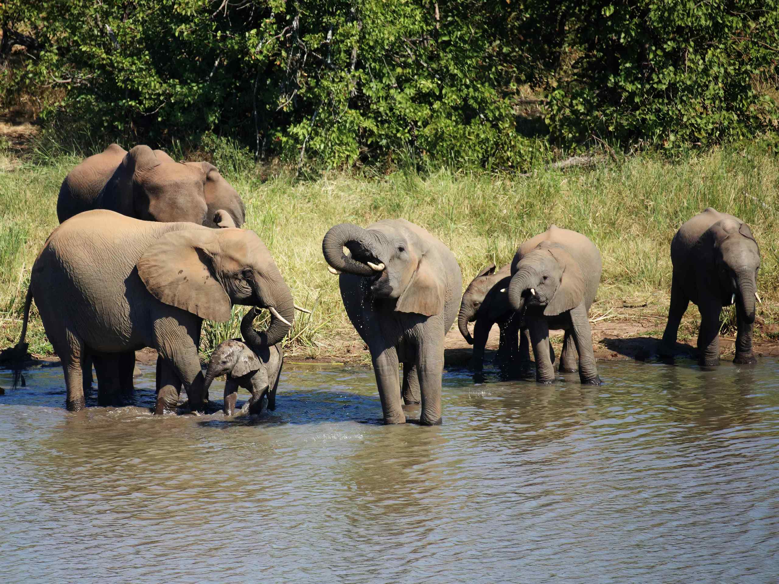 Wildlife Wonders Sri Lanka